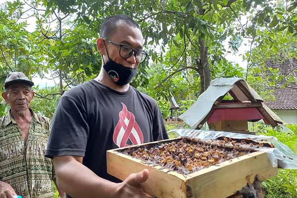 Melihat Budidaya Madu Klanceng di Madiun, Begini Proses Panen - Espos.id