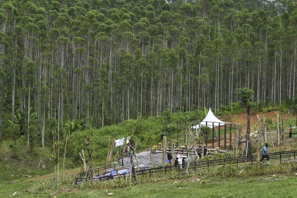 Persiapan Kemah Presiden Jokowi di Titik Nol Kilometer IKN Kaltim - Espos.id