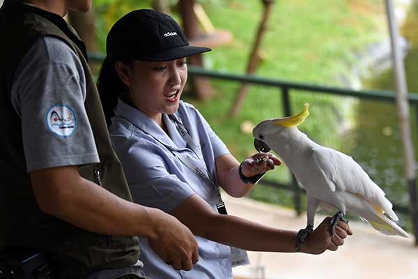 Serunya Atraksi Berbagai Jenis Burung di Wahana Baru Jakarta Bird Land ...