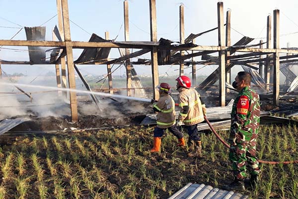 Kandang Ternak di Teras Boyolali Terbakar, Belasan Ribu Ayam Mati Terpanggang - Espos.id